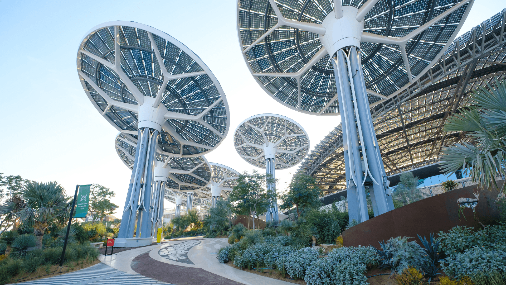 Urban Oasis - DarGlobal